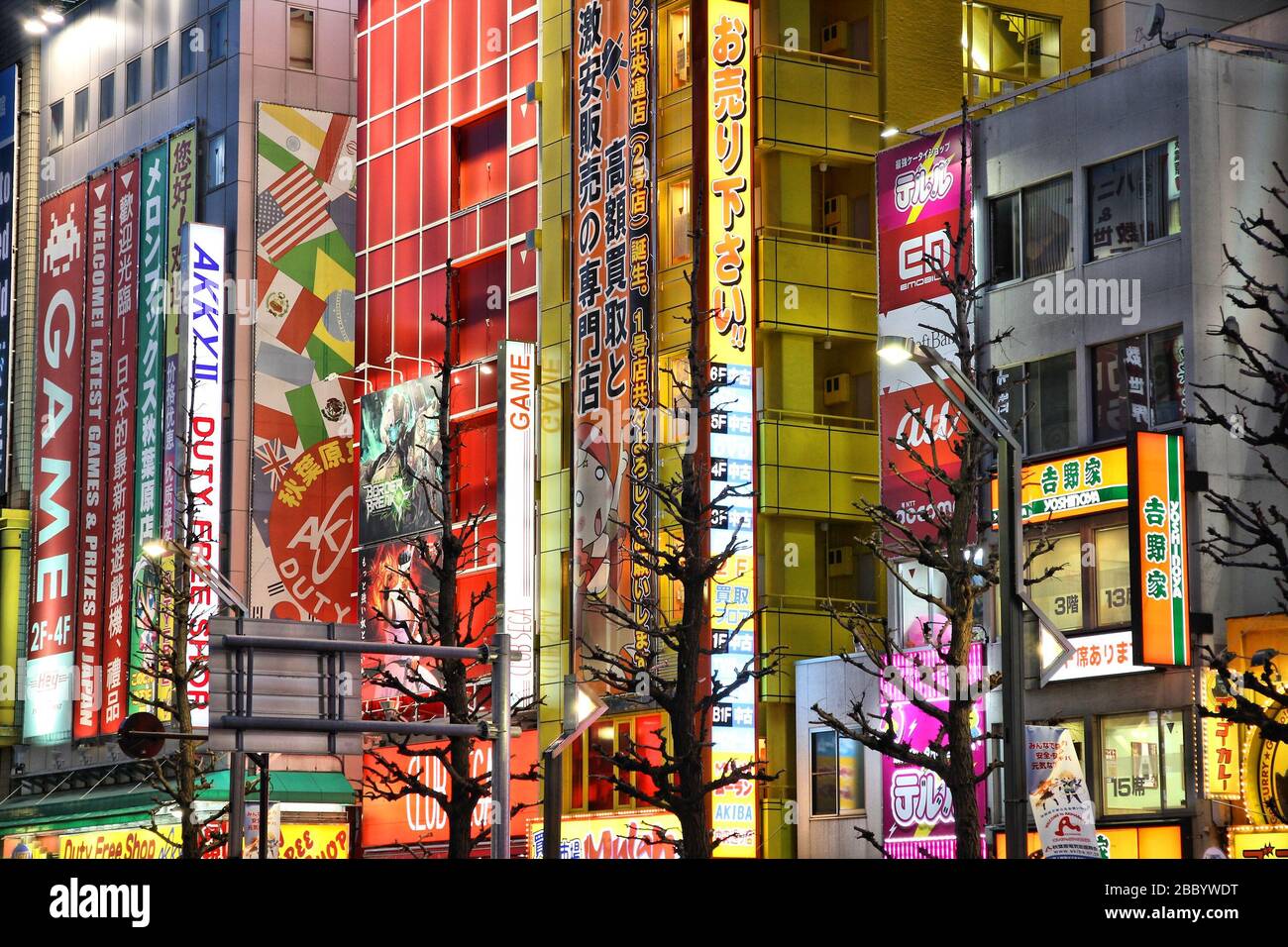 TOKYO, JAPAN - APRIL 12, 2012: Neon lights of Akihabara Electric Town ...