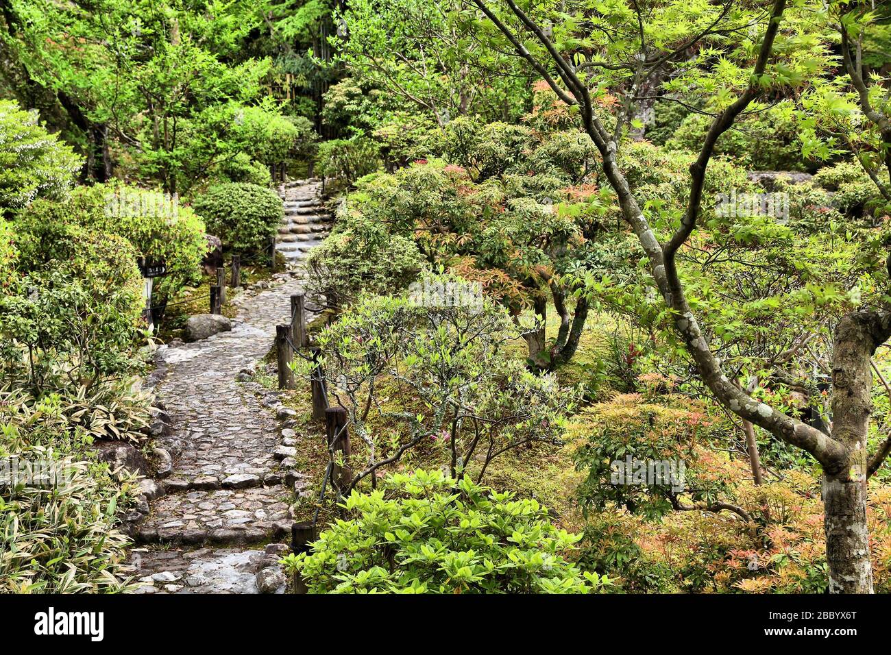 Japan style garden - Yoshikien Garden in Nara Stock Photo - Alamy