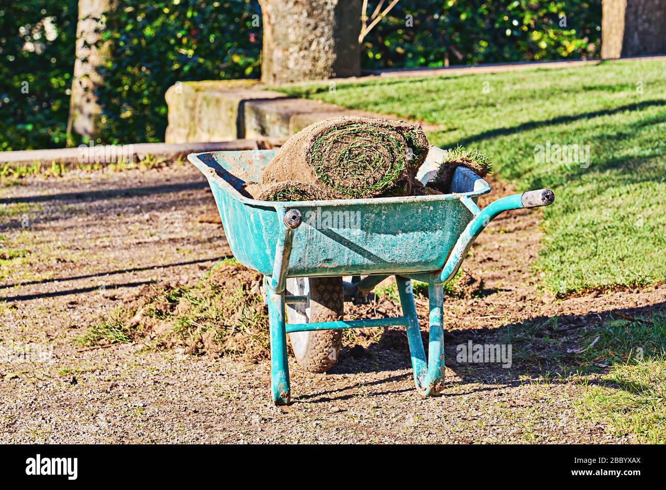 Stack of rolled grass sod for lawns and gardening in green garden ...