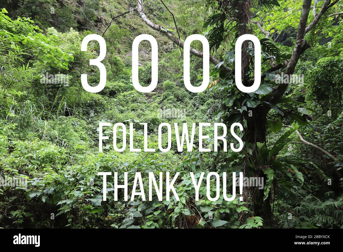 3000 followers banner - social media success sign. Online community ...