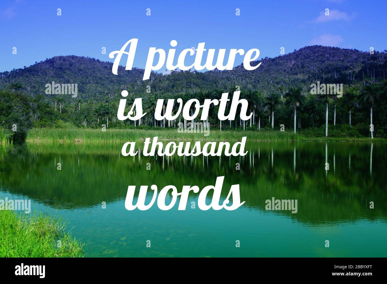 Picture is worth a thousand words. Motivational quote poster. Success ...