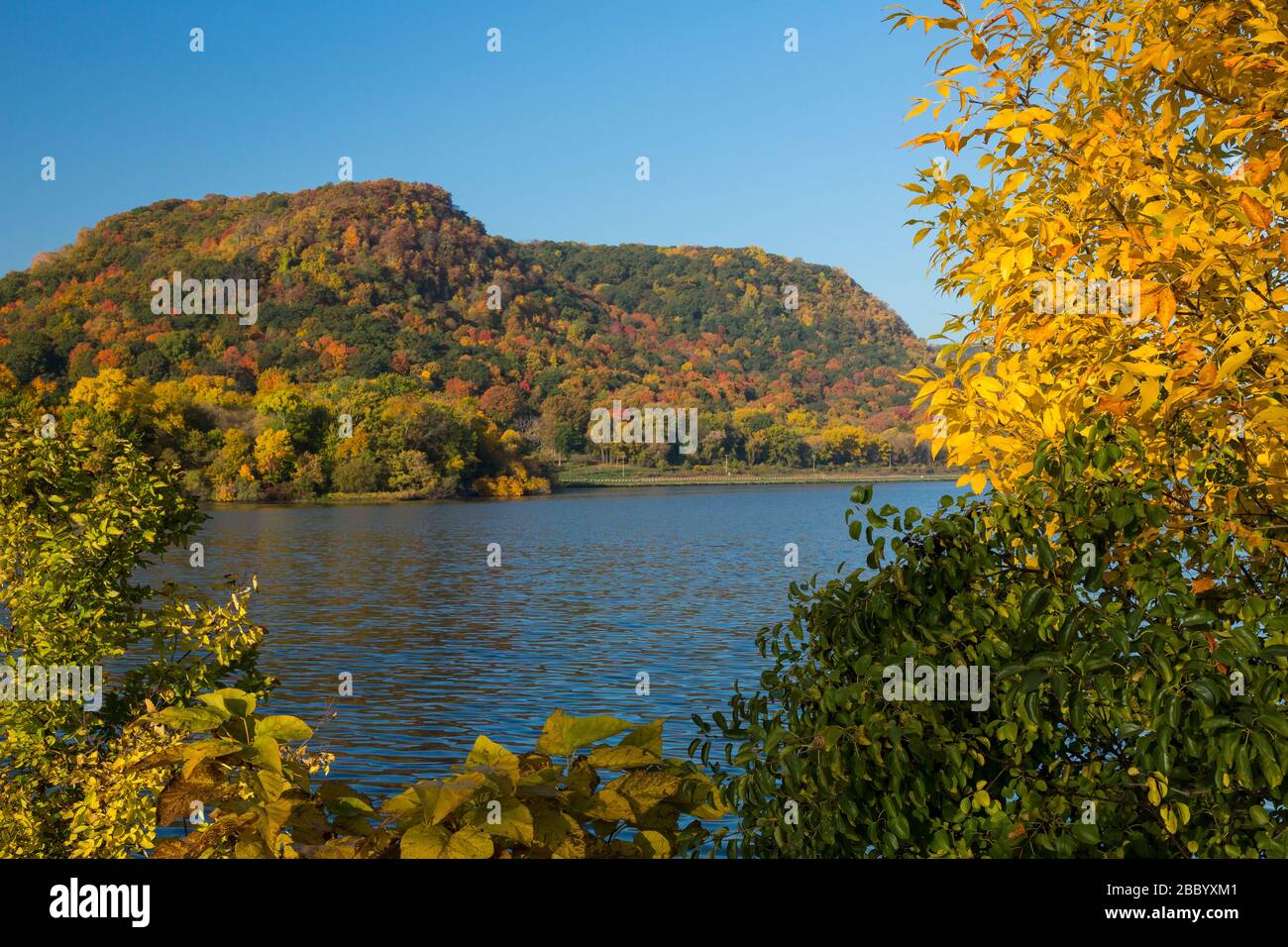Reflective pond in autumn hi-res stock photography and images - Alamy