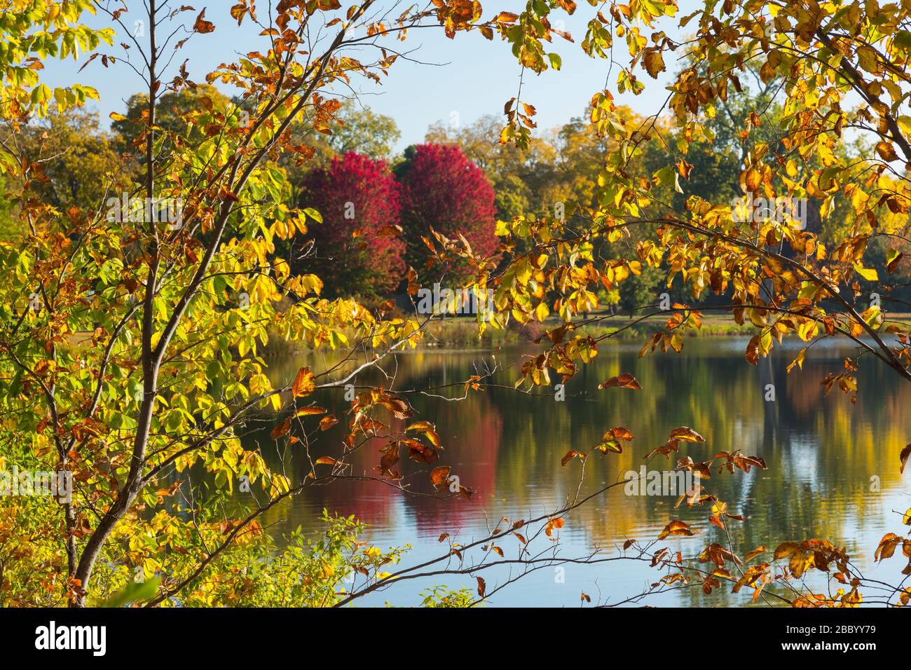 A scenic reflective lake landscape in autumn Stock Photo - Alamy