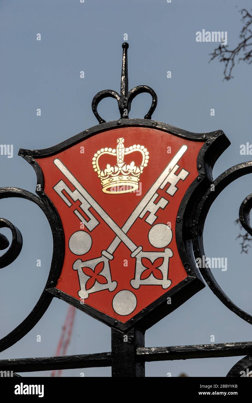 York University Coat Of Arms