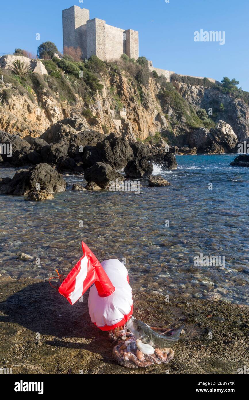 Safety buoy and captured prey of a scuba diver with the Rocca ...