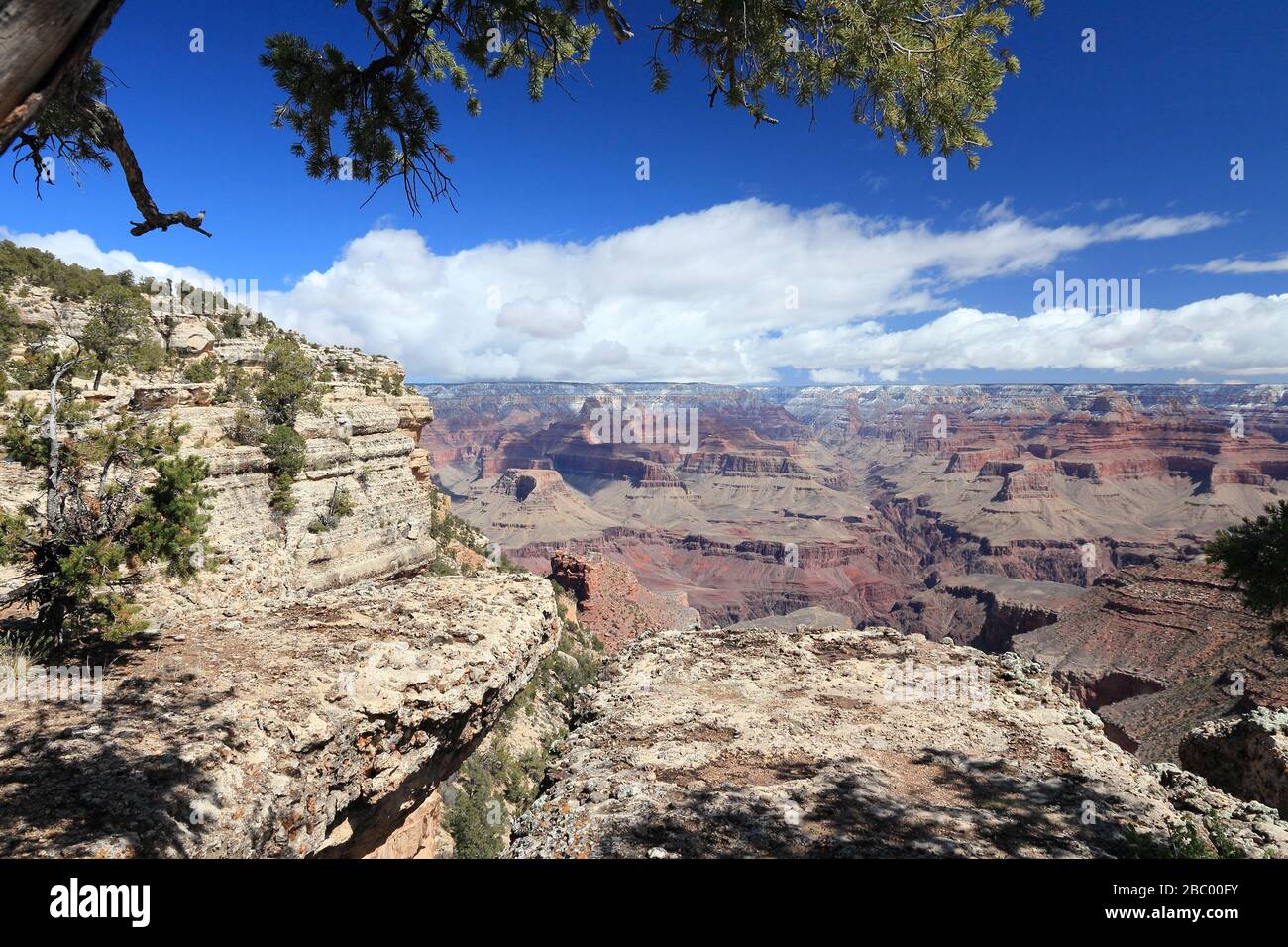 Yavapai point viewpoint hi-res stock photography and images - Alamy