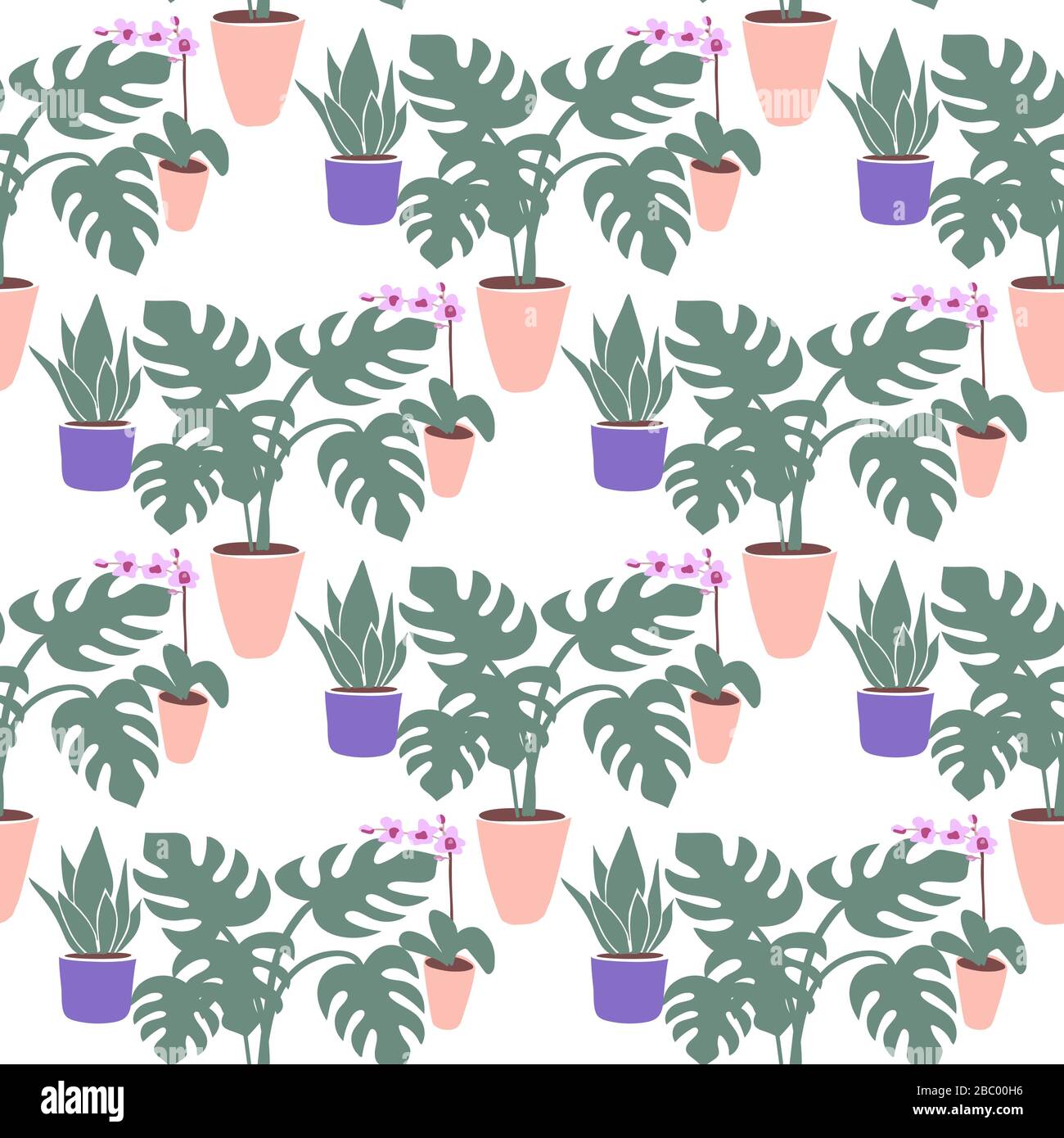 Seamless pattern with llustration a home plants on a white background ...