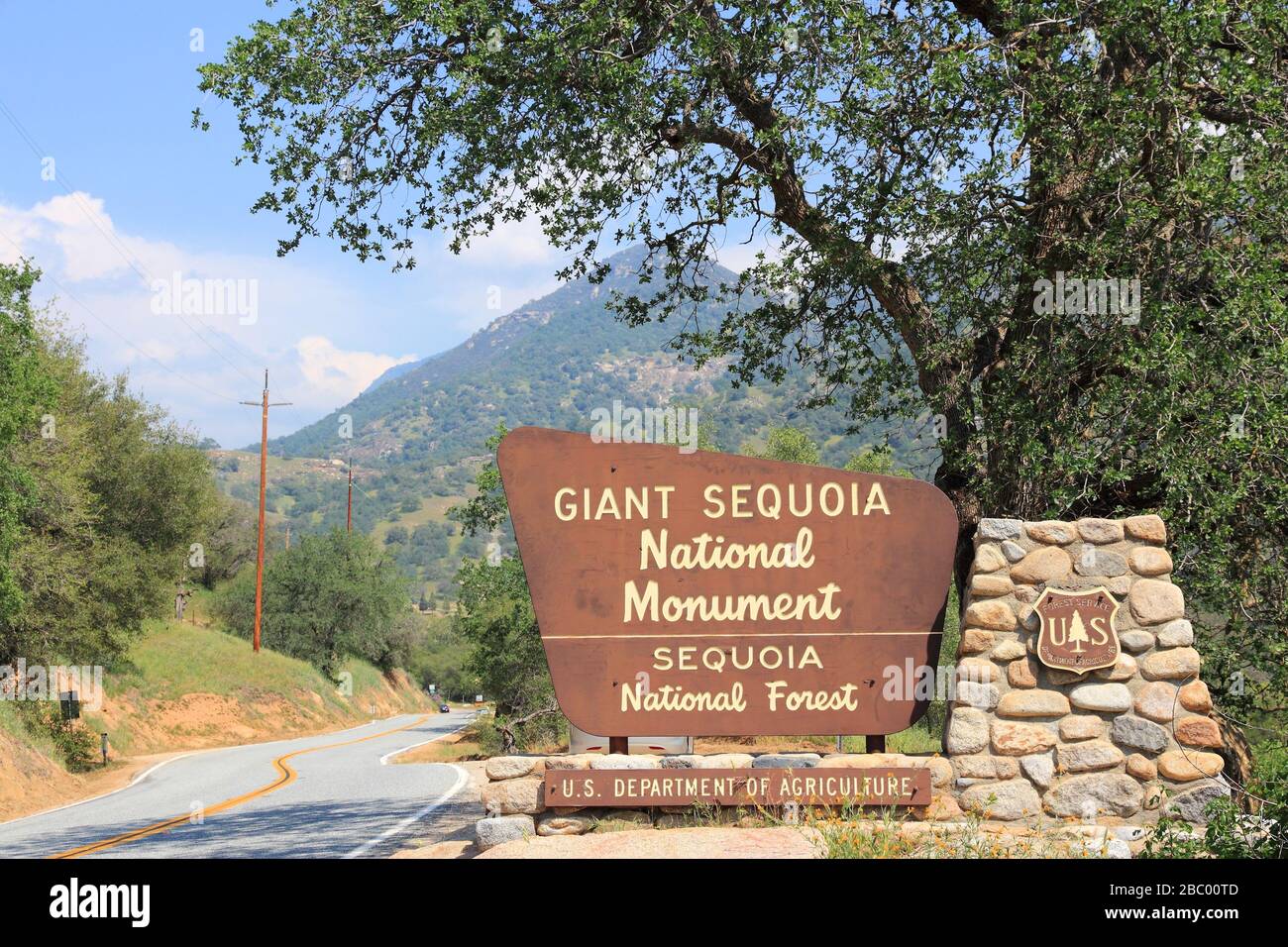 Giant sequoia national monument hi-res stock photography and images - Alamy