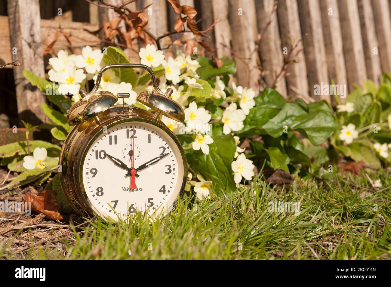 Clocks spring forward in March losing an hours sleep gaining longer ...