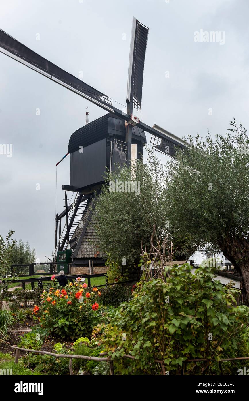The Blokweer polder windmill (1631), Kinderdijk, UNESCO World Heritage ...