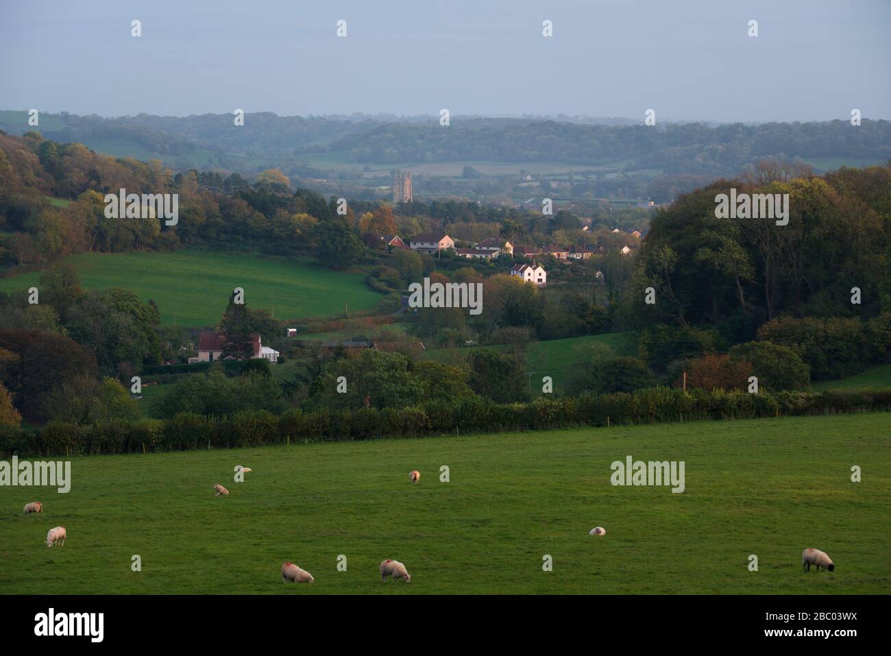 Ebbor gorge national nature reserve hi-res stock photography and images ...