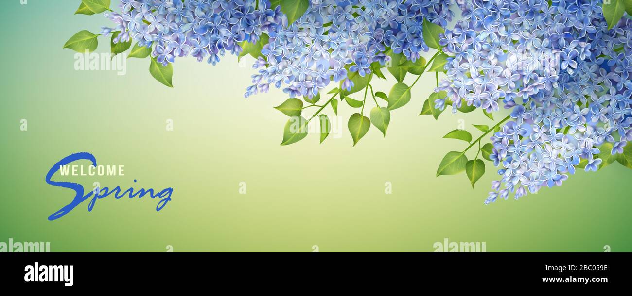 Tree spring day Stock Vector Images - Alamy