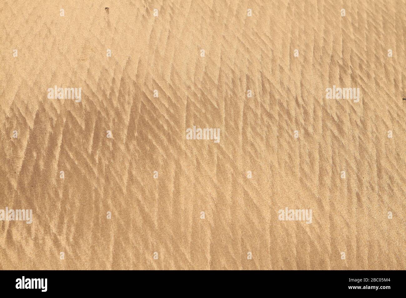 Sand cardboard hi-res stock photography and images - Alamy