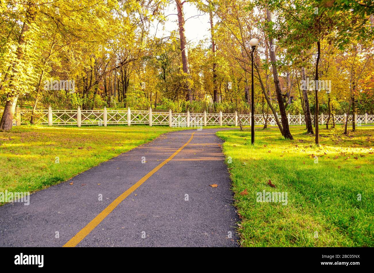Walking and bike path in the park Stock Photo - Alamy