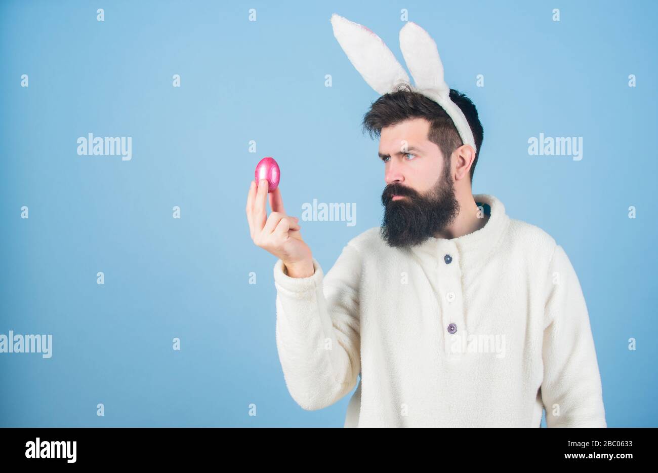 Easter symbol concept. Hipster cute bunny long ears blue background ...