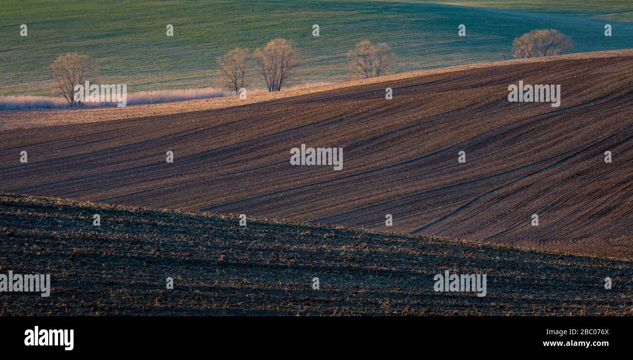 Trees in the fields of Turiec region in northern Slovakia Stock Photo ...