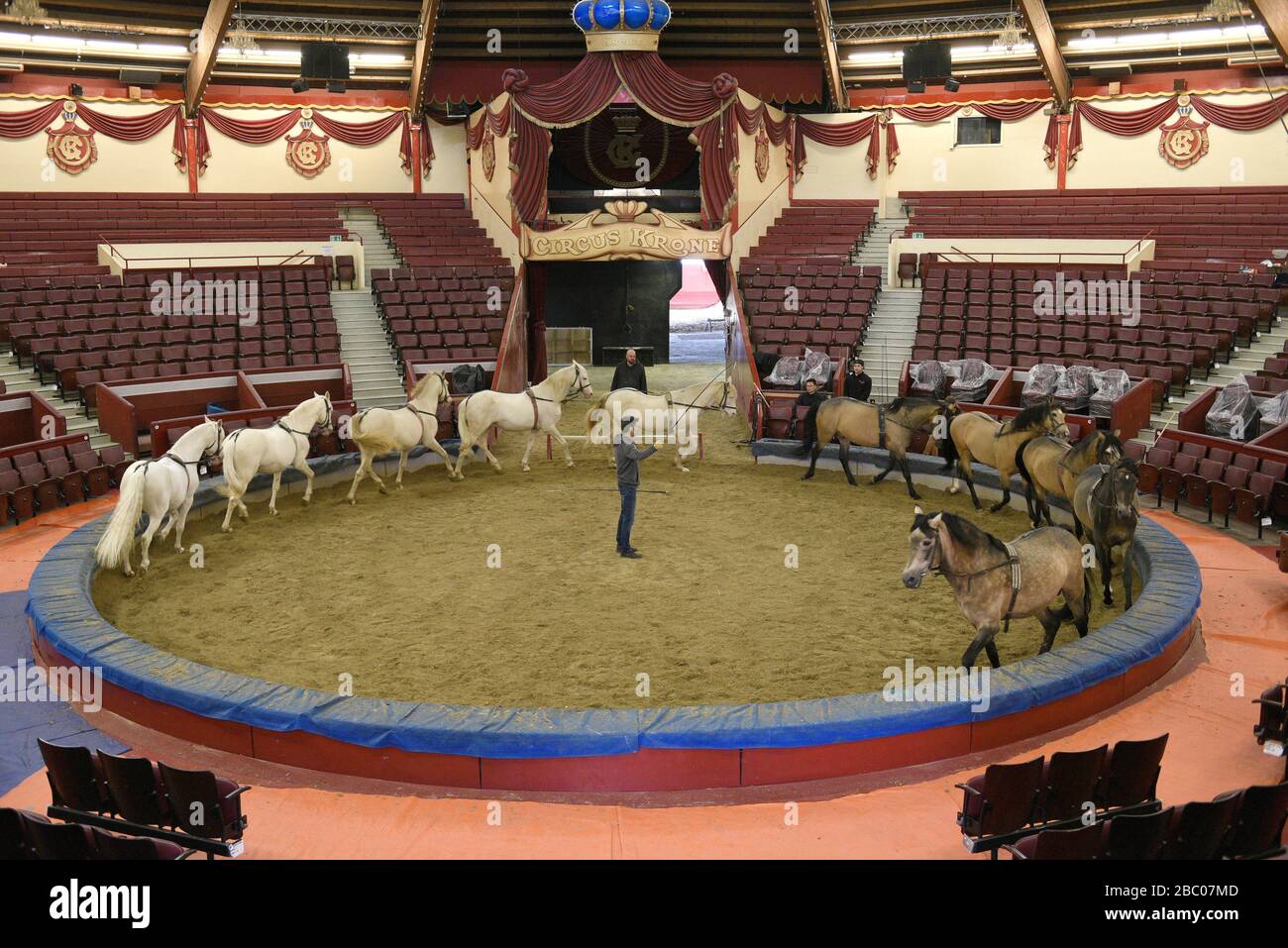 Circus horses hi-res stock photography and images - Alamy