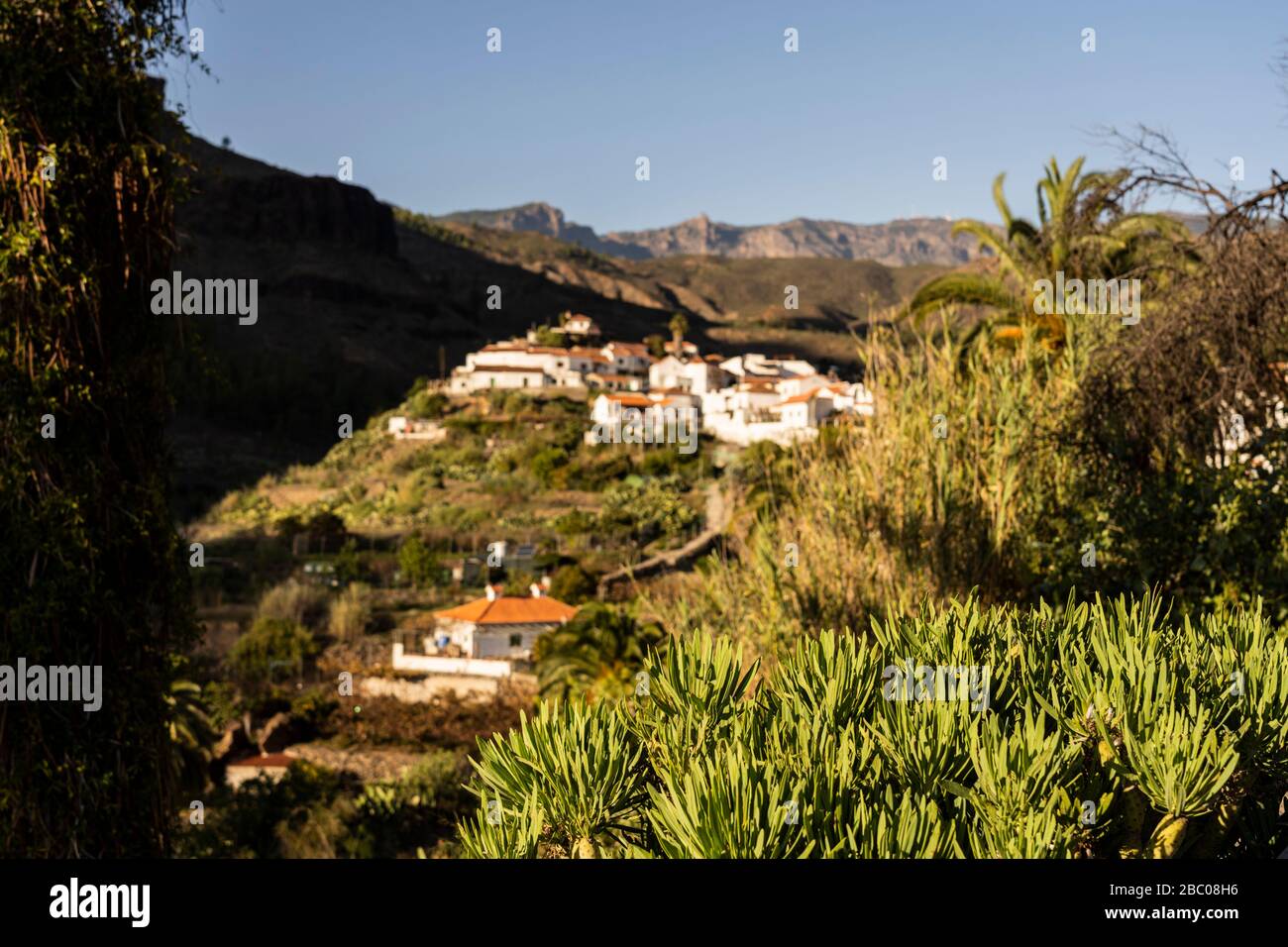 Spain, Canary Islands, Gran Canaria, the village of Fataga Stock Photo ...