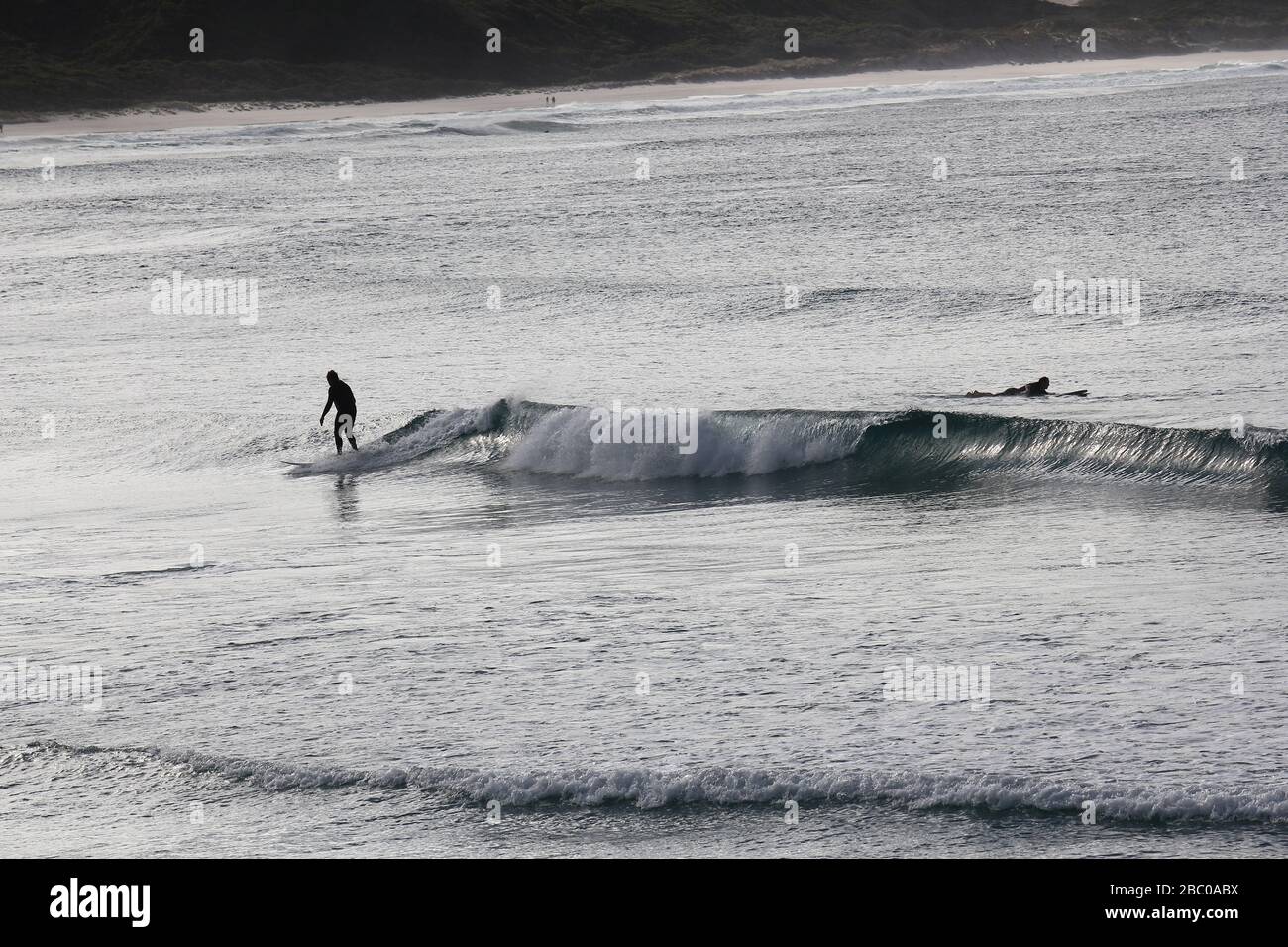 Surfing at Ocean Beach, Denmark Western Australia Stock Photo - Alamy