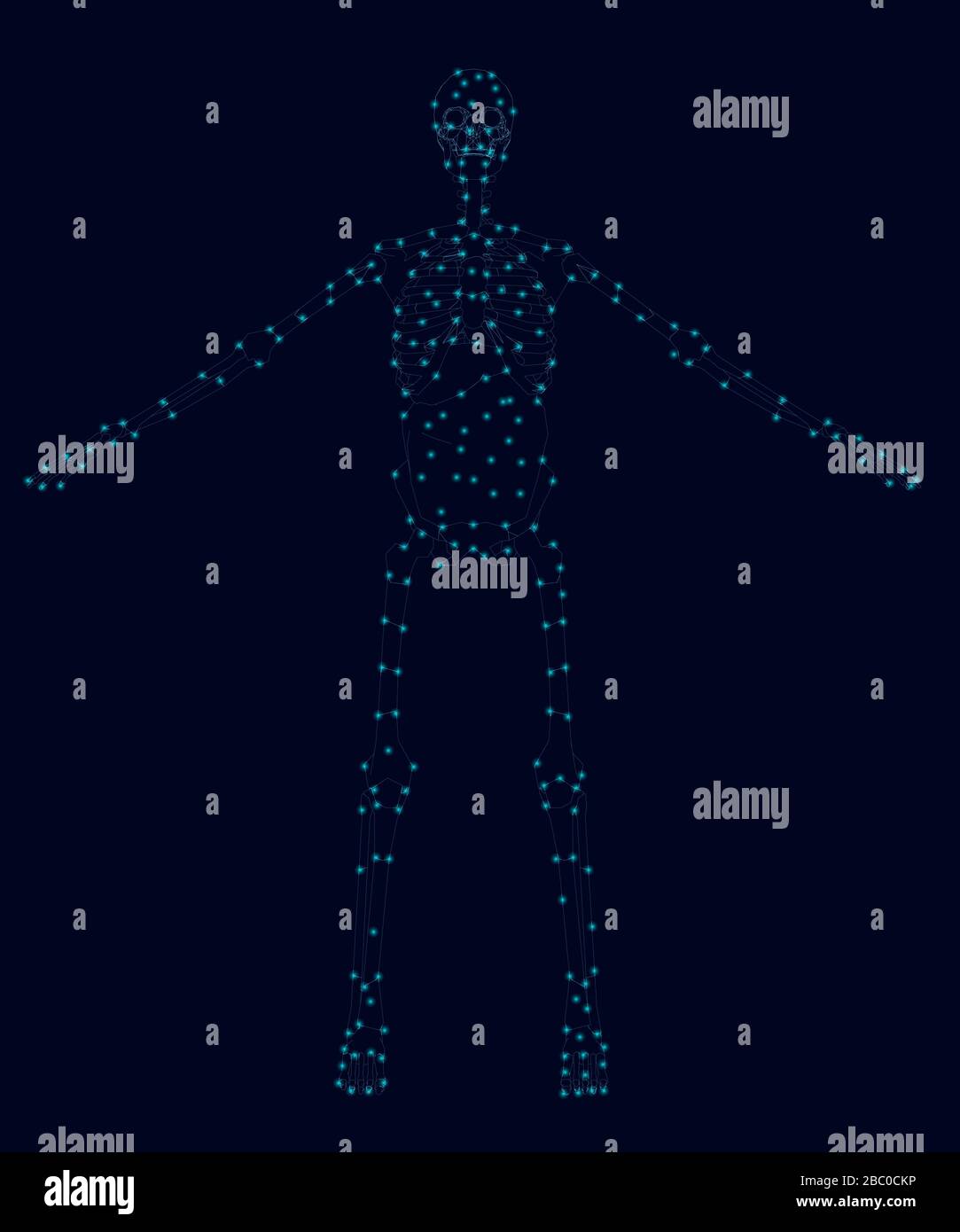 The contour of a human skeleton of blue lines with luminous lights on a ...