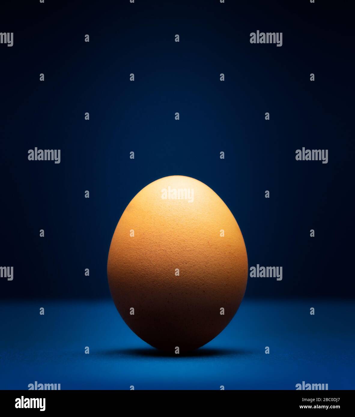 Egg on a classic blue background close-up with dramatic lighting. Fine ...