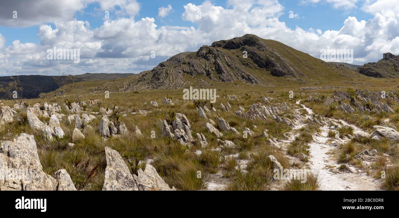 Panorama of the undulating relief and vegetation of rupestrian fields ...