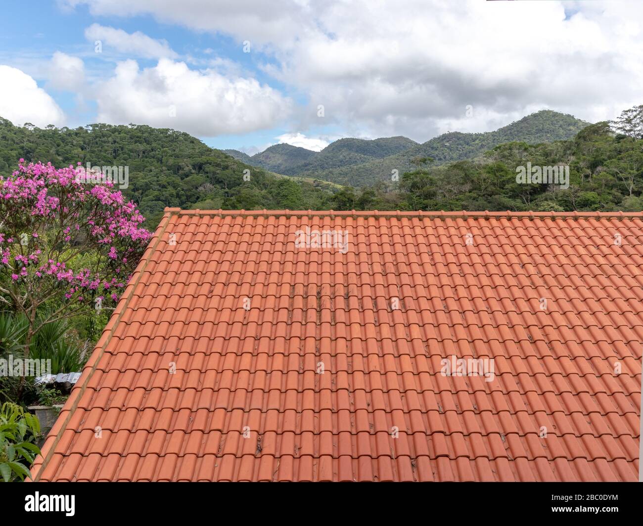 Large roof made of clay tiles with Atlantic forest in the background ...