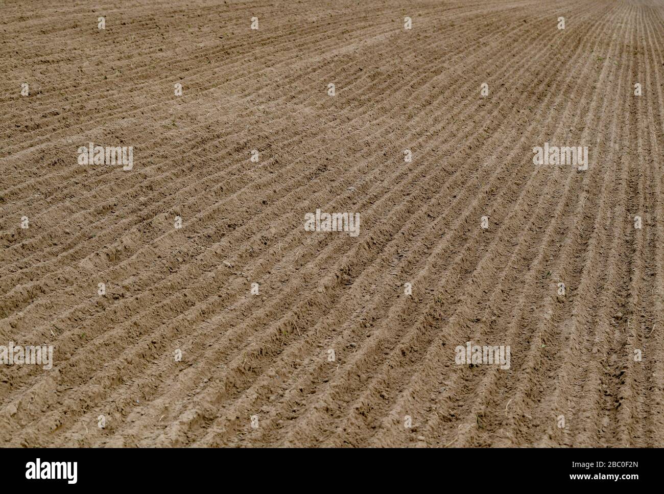 Tilled floor hi-res stock photography and images - Alamy