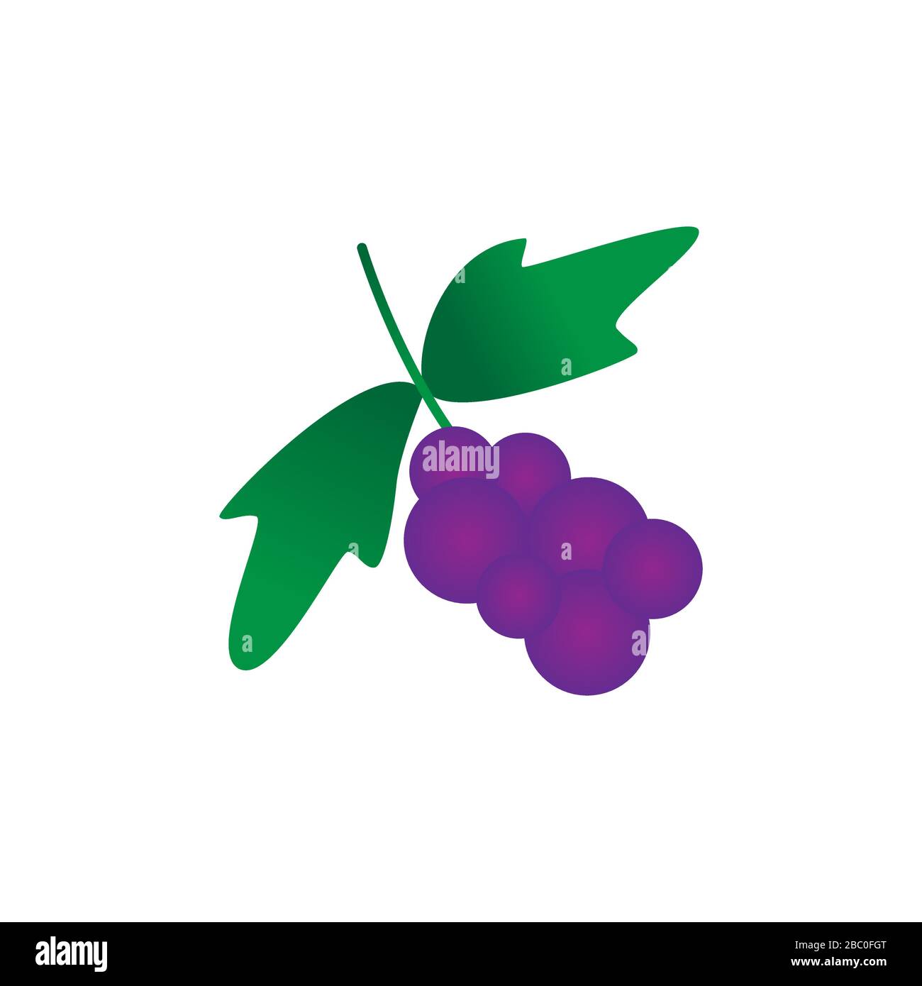 grapes vector graphic design illustration Stock Vector Image & Art - Alamy