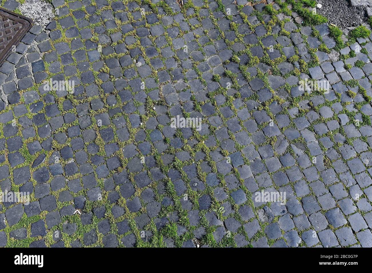 Rome, Piazza Navona looks like a green lawn, the grass grows among the ...
