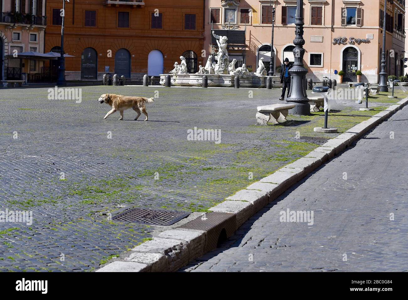 Rome, Piazza Navona looks like a green lawn, the grass grows among the ...