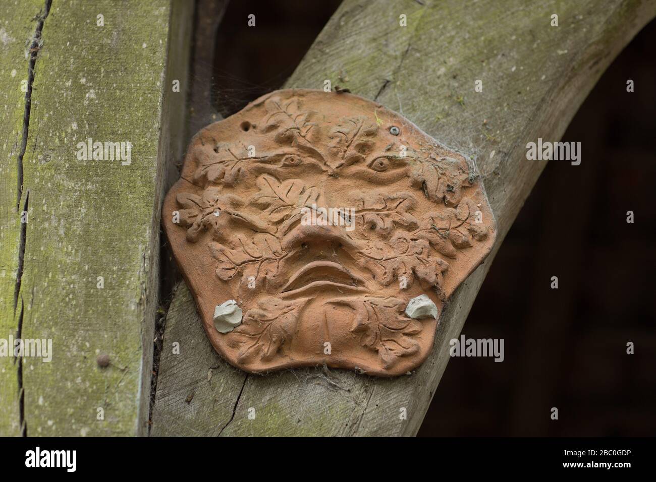 The green man folklore hi-res stock photography and images - Alamy