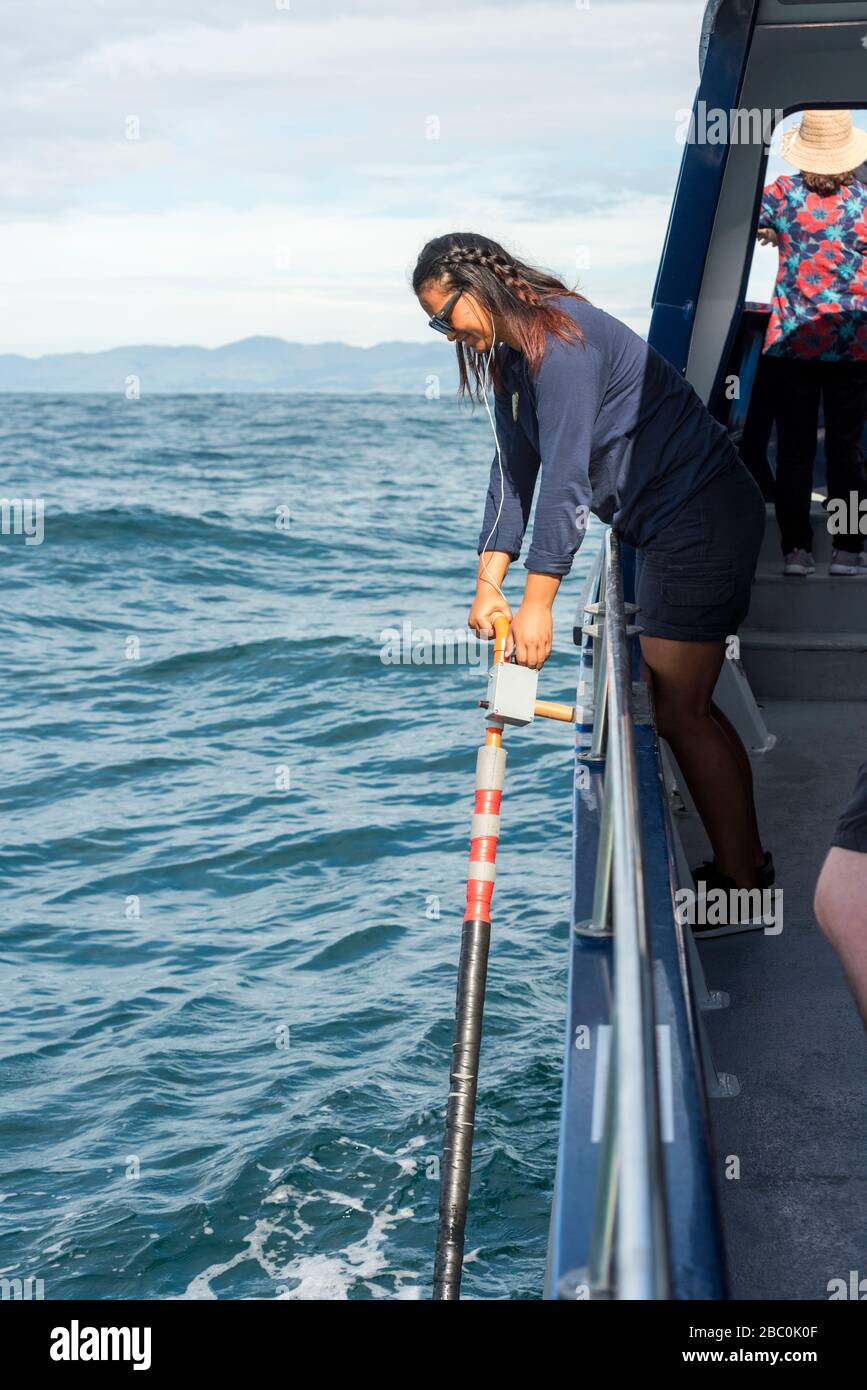 A woman using a hydrophone to listen for whale noises so that they can ...