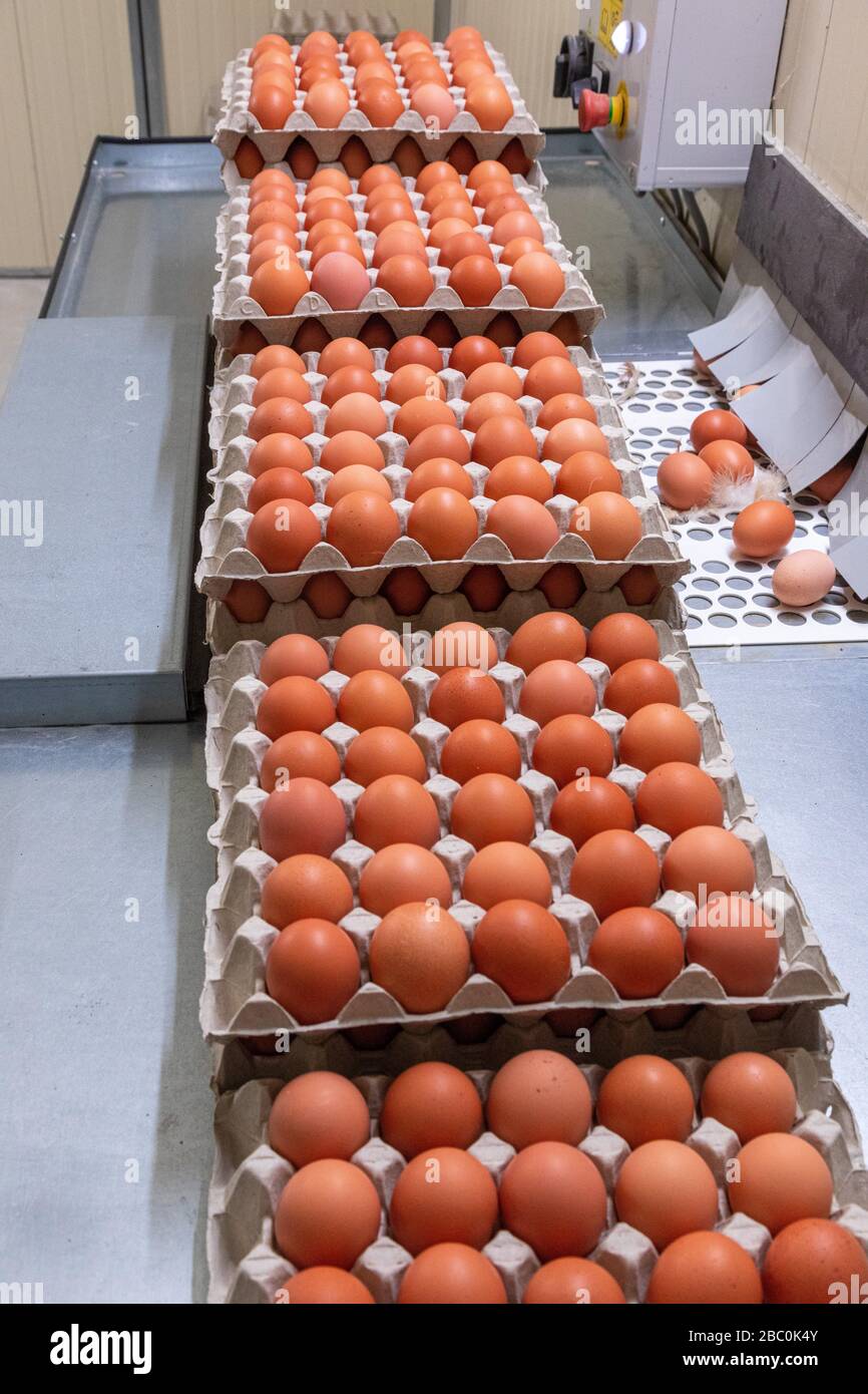 Calibration free hi-res stock photography and images - Alamy