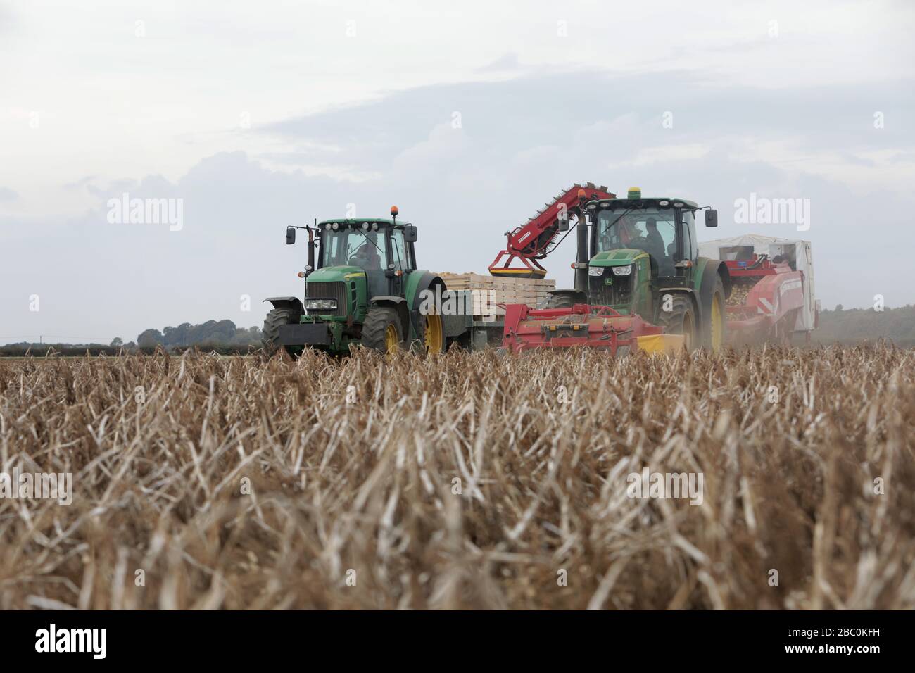 Potato pickers hi-res stock photography and images - Alamy