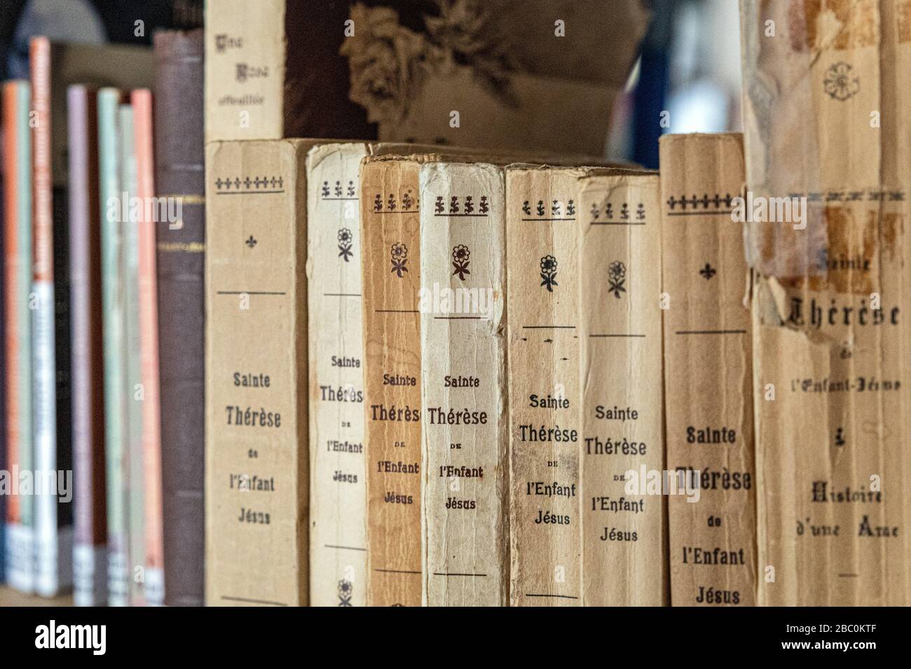 BOOKS ABOUT SAINTE-THERESE OF THE CHILD JESUS, LIBRARY IN THE SAINTE ...
