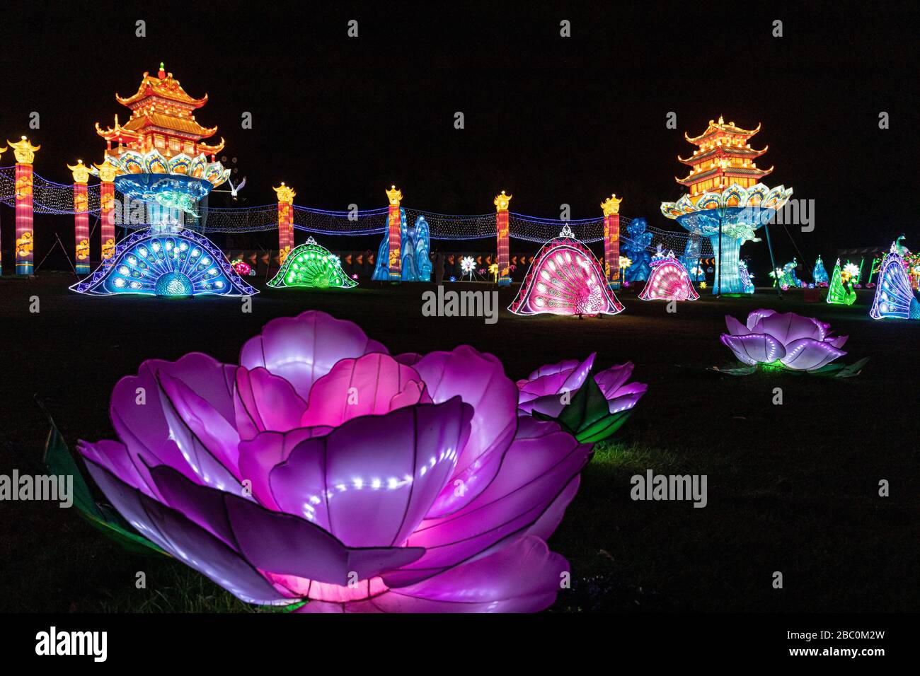 LOTUS FLOWERS, FEUX FOLLETS, THE LIGHT OF CHINA, JEAN DRAPEAU PARK ...