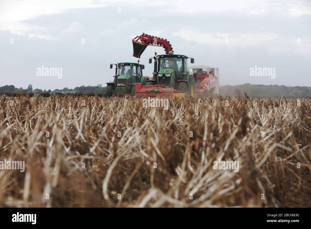Lincolnshire farm workers hi-res stock photography and images - Alamy