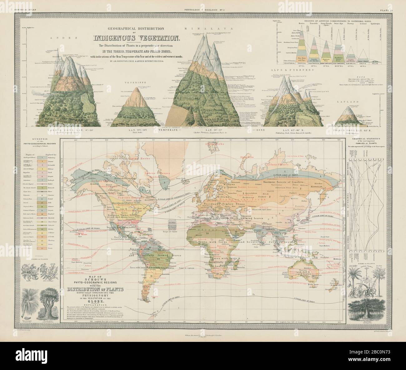 Indigenous vegetation vertical distribution. World plant distribution ...