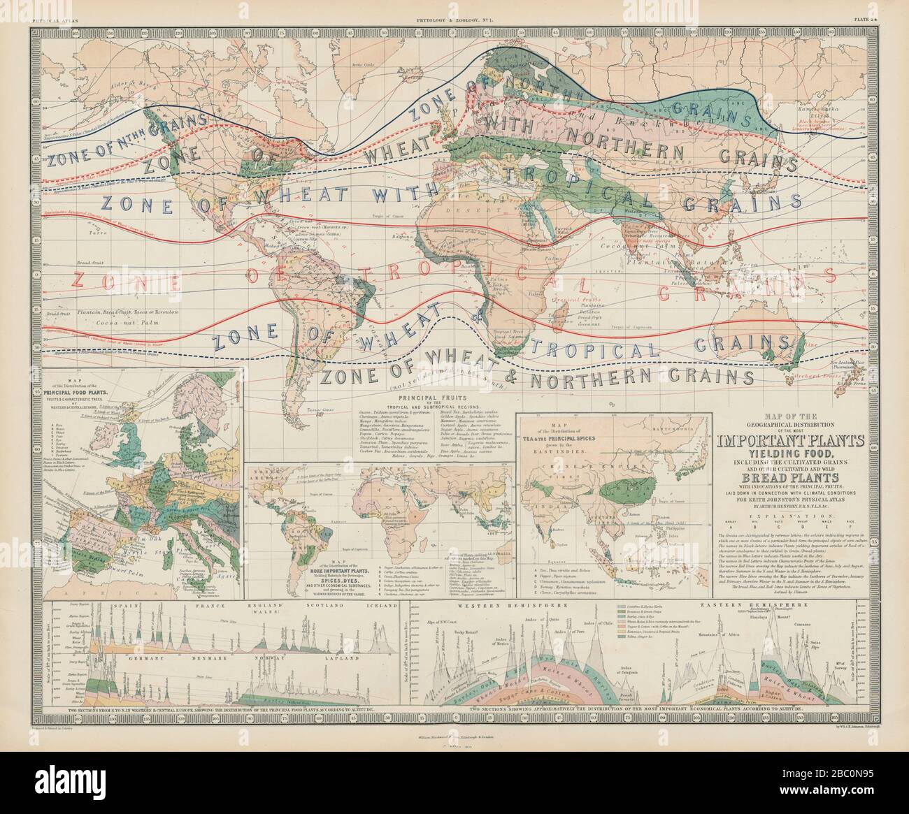 The geographical distribution of plants hi-res stock photography and ...