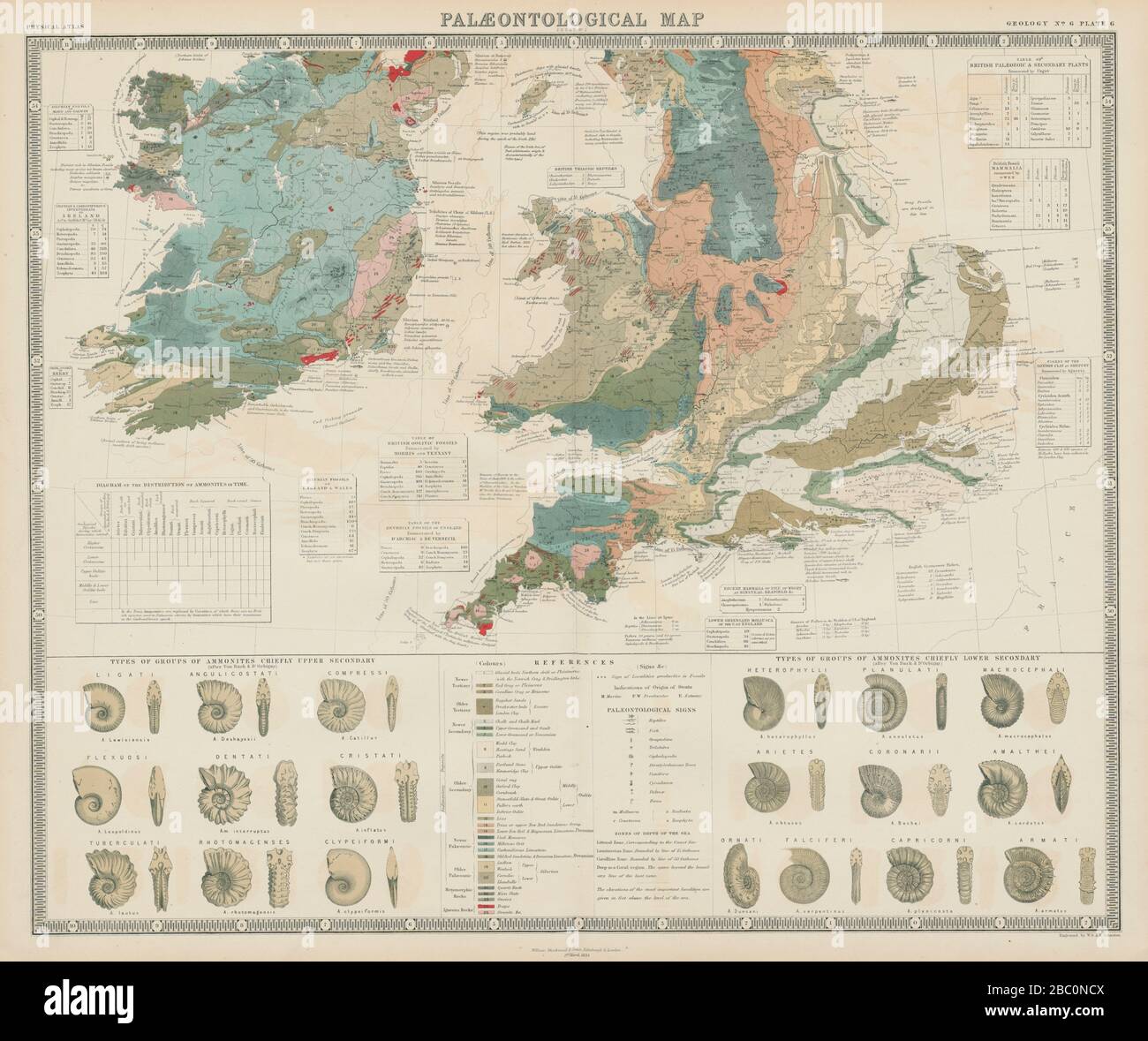 British Isles Geological & Palaeontological Map: South. England Wales ...