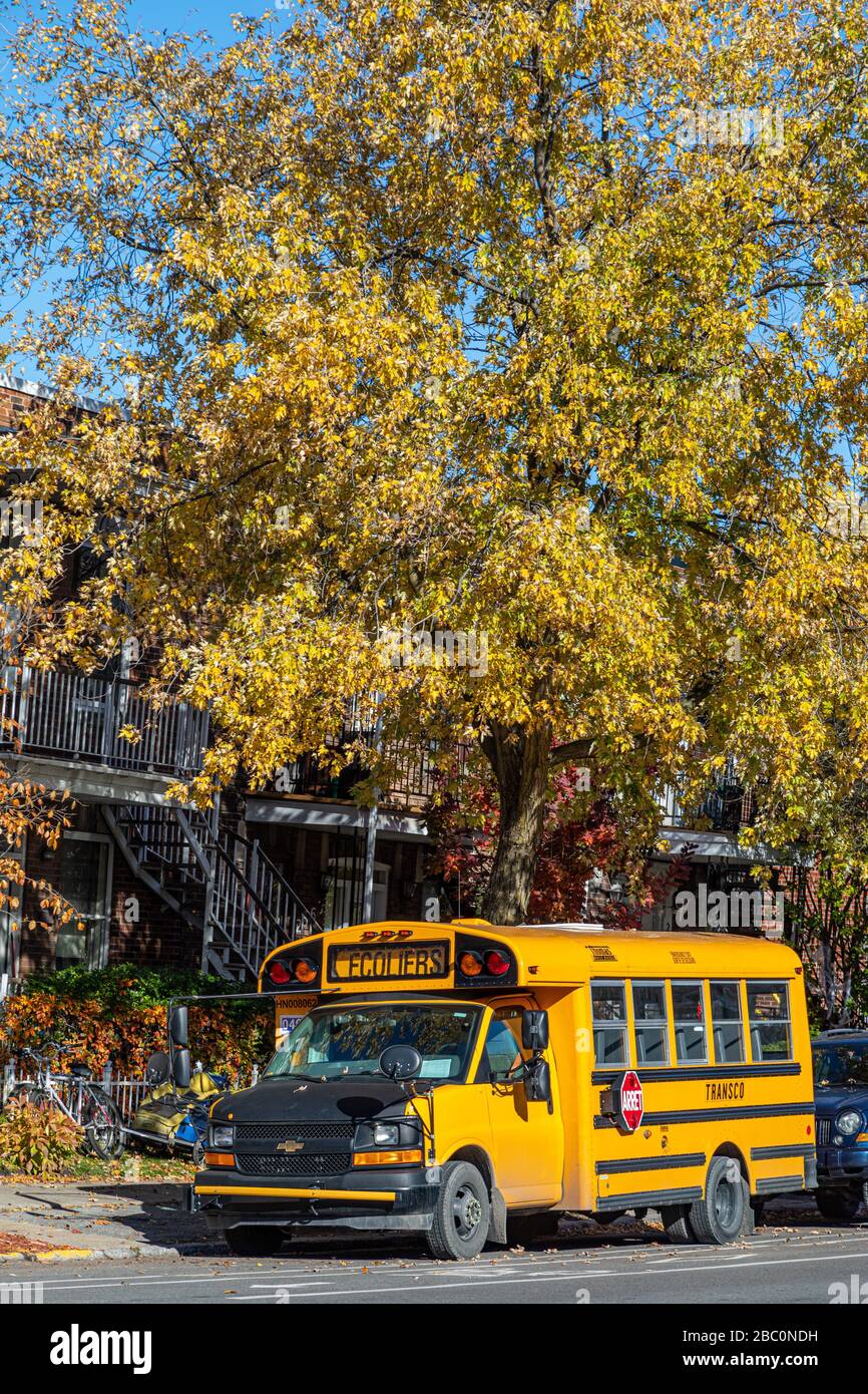 YELLOW SCHOOL BUS FOR SCHOOLCHILDREN, MONTREAL, QUEBEC, CANADA Stock ...