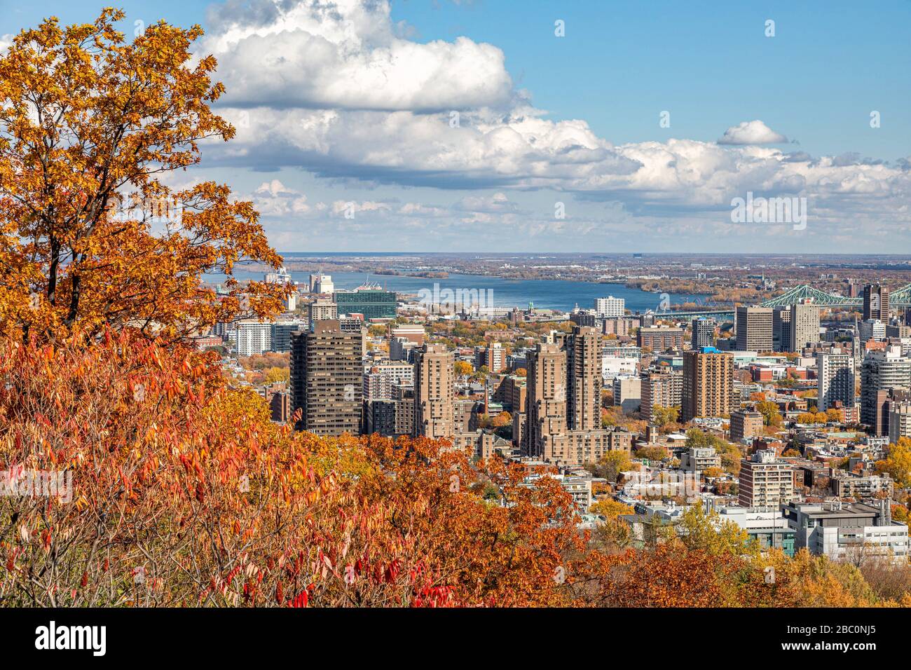 AUTUMN COLORS IN MONT-ROYAL PARK AND VIEW OF THE BUSINESS DISTRICT OF ...