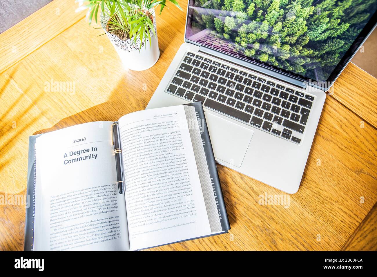 Work from home study hi-res stock photography and images - Alamy