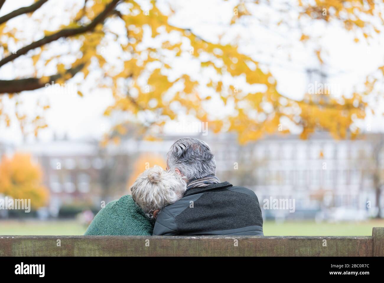 Couple park bench rear view hi-res stock photography and images - Alamy