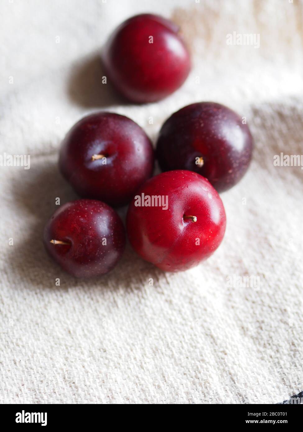 Santa rosa plum hi-res stock photography and images - Alamy
