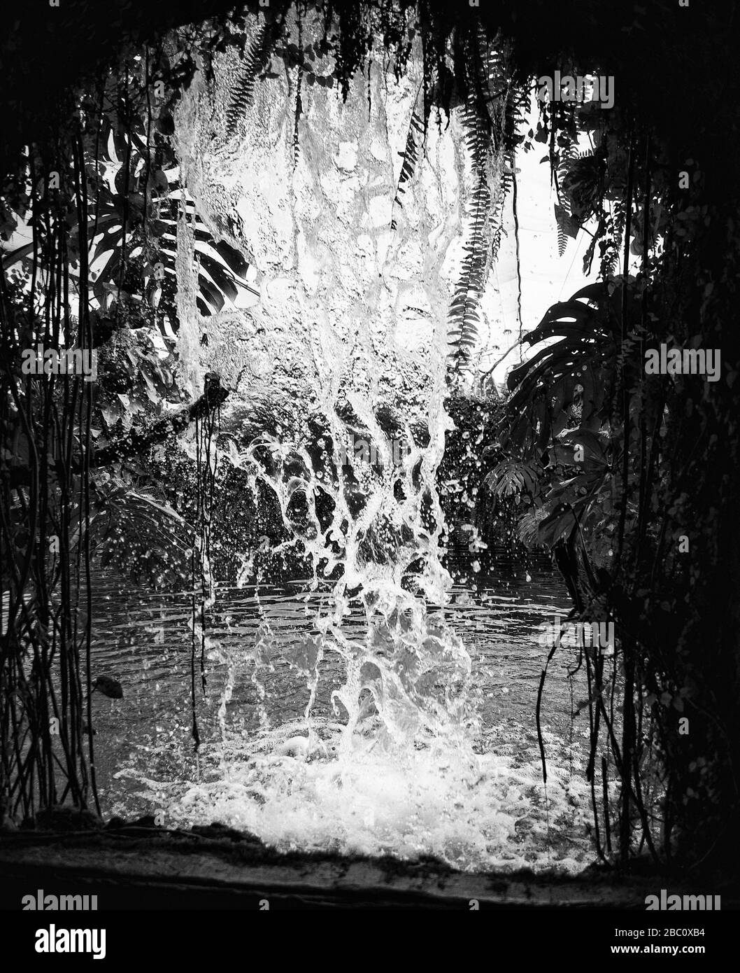 Located just Black and White Stock Photos & Images - Alamy