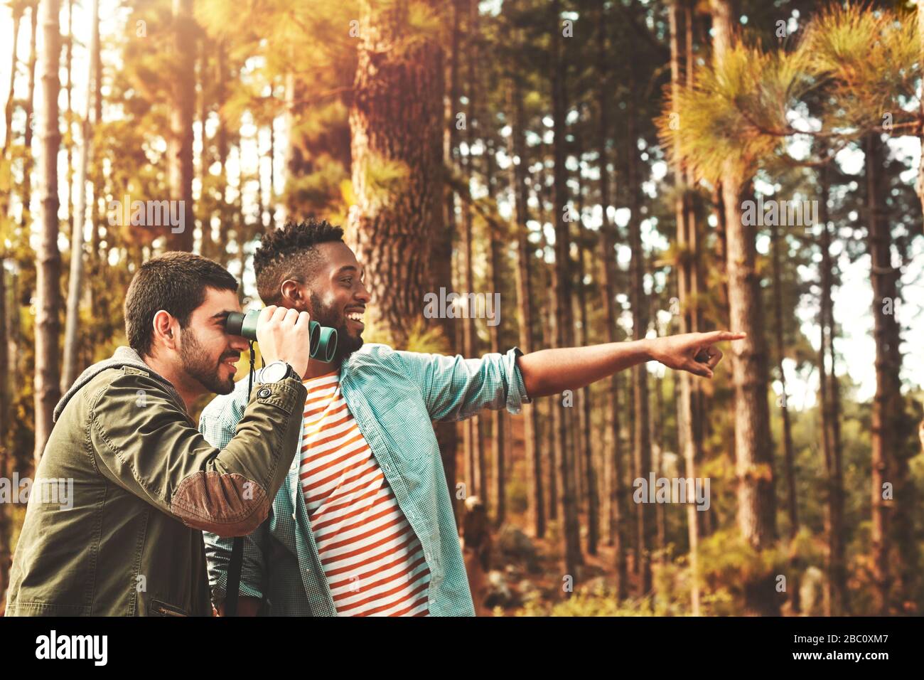 Young men with binoculars bird watching in woods Stock Photo - Alamy