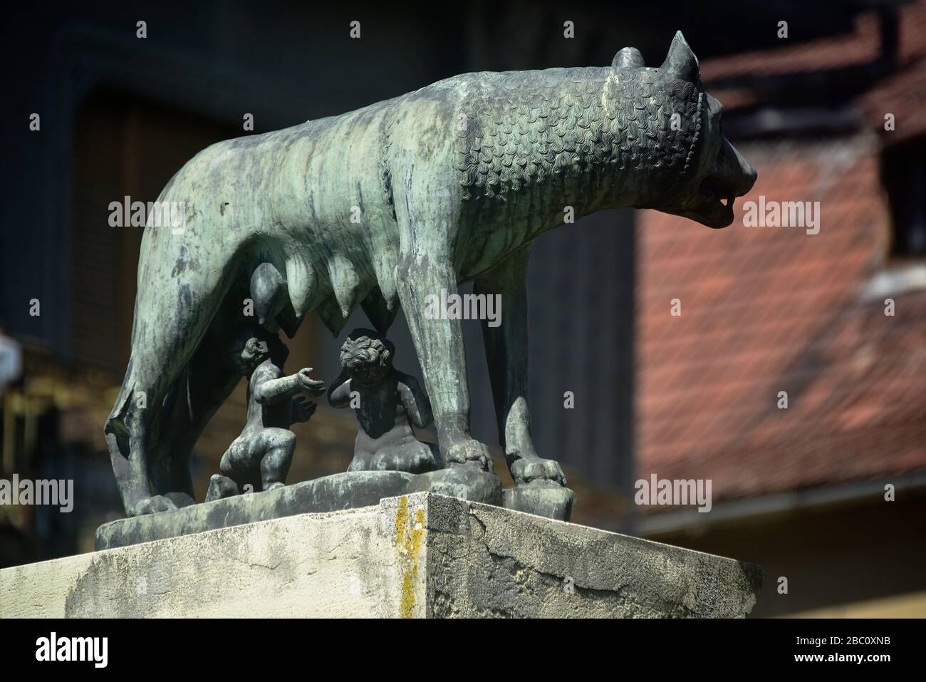 Piata libertatii timisoara hi-res stock photography and images - Alamy