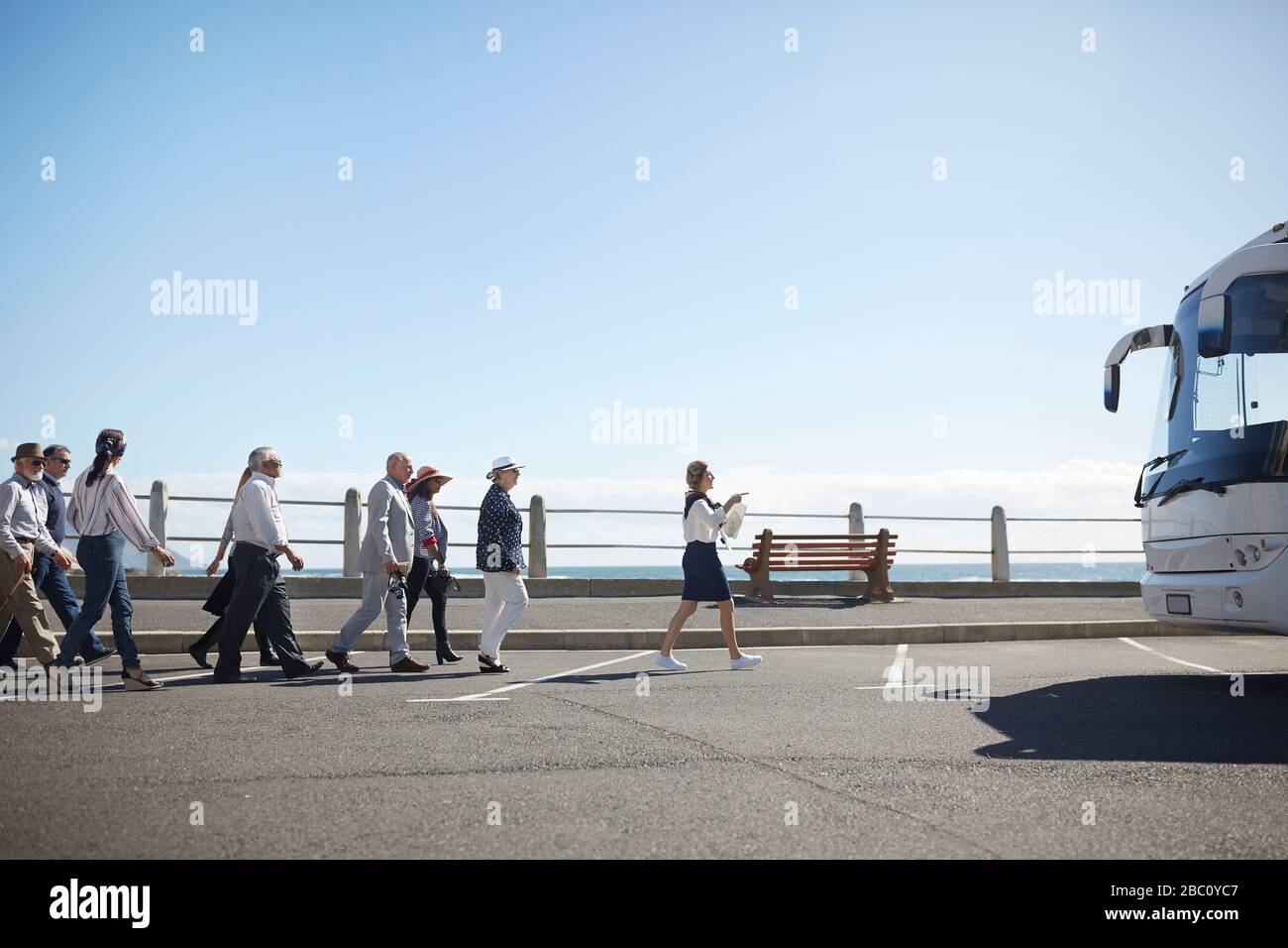Tour guide leading active senior tourists to tour bus Stock Photo - Alamy
